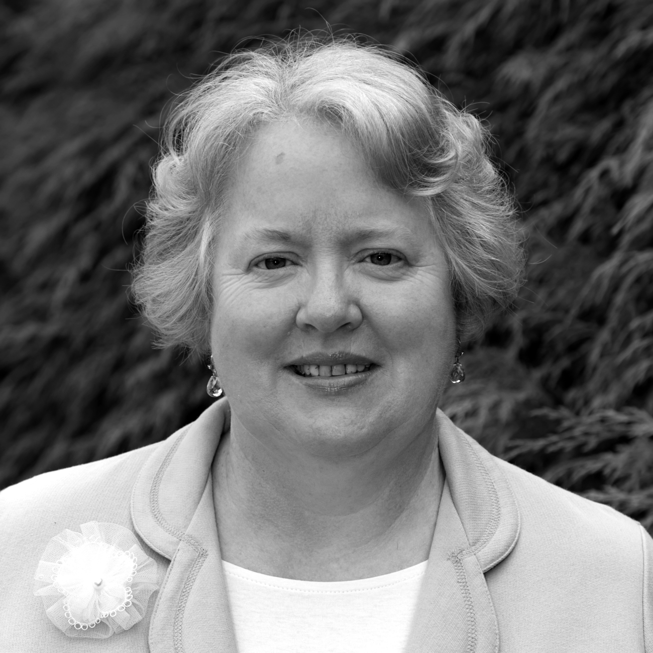 Carlow Creates Connections - Irish Country Magazine