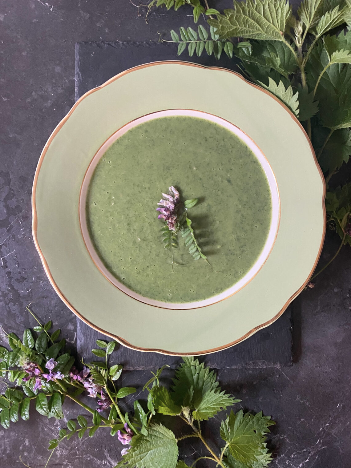 Make your own wild nettle soup - Irish Country Magazine