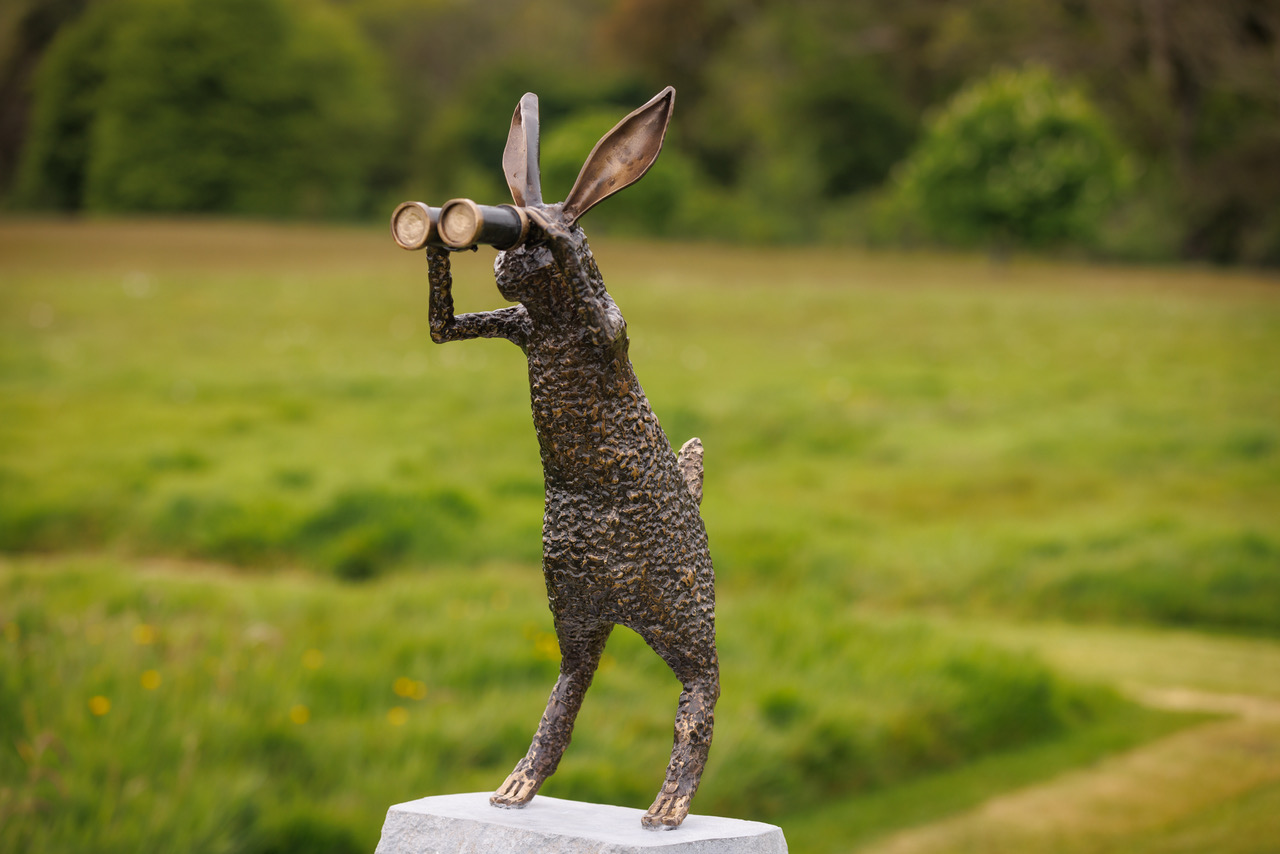 Here’s what’s on this June Bank Holiday weekend - Irish Country Magazine